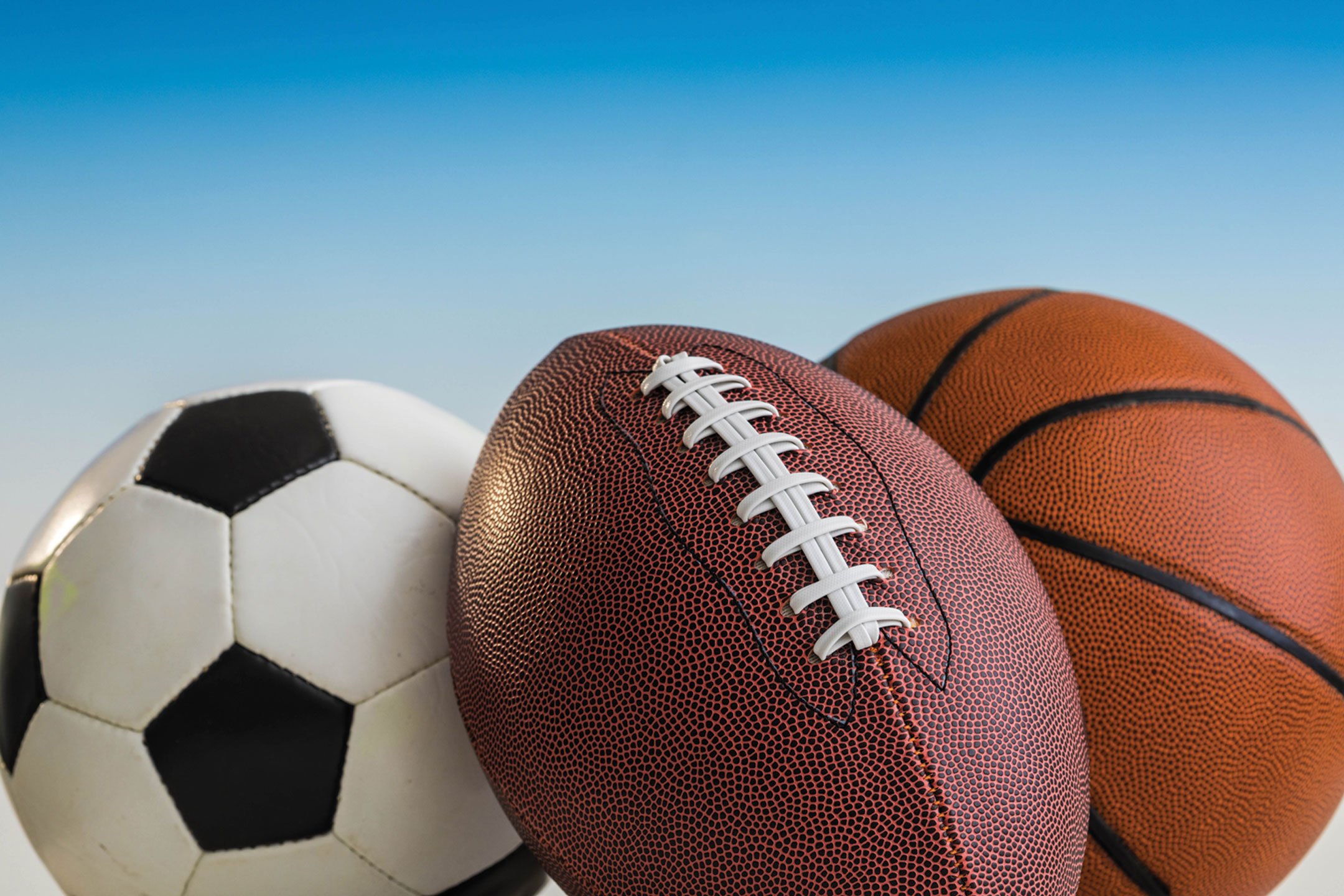 Exeter Monarchs of the Week - The Sun-Gazette Newspaper Exeter Monarchs of the Week - The Sun-Gazette Newspaper